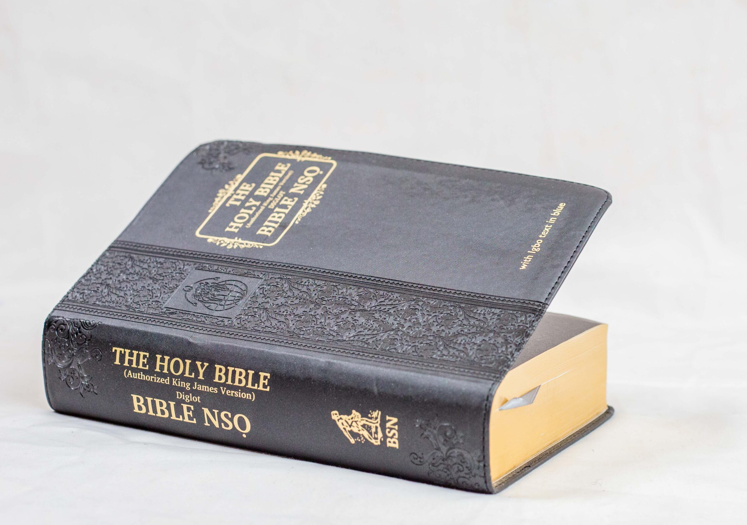 The Igbo Holy Bible – Bible Nsọ